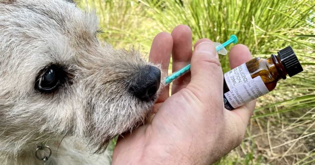 The Expendables 3 Film - Entertaining is the responsibility